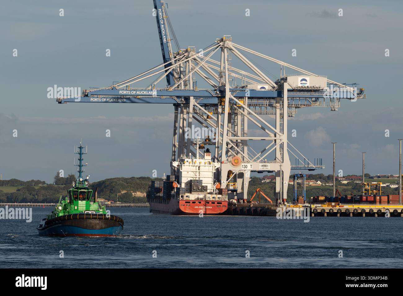 Tugboat operating in Auckland Harbour with container cranes and port ...