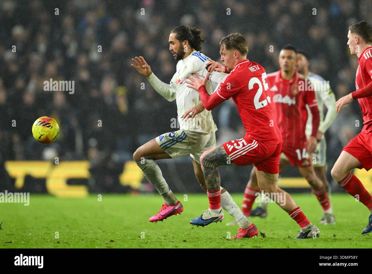 Luca Netz of Nottingham Forest battles with Dominic Calvert-Lewin of ...