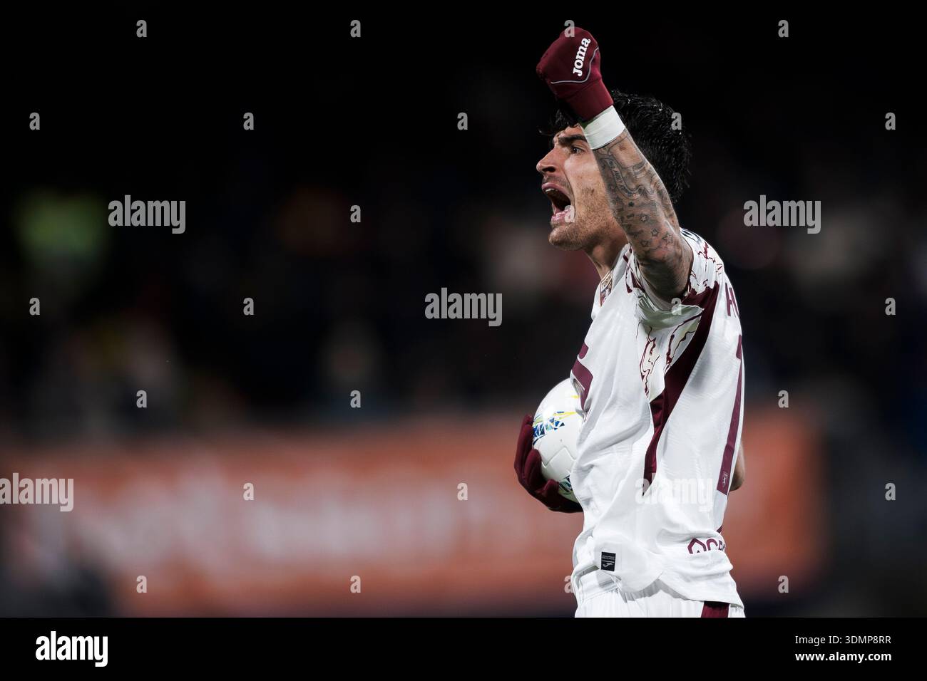 Sandro Kulenovic of Torino FC celebrates after scoring a goal during ...