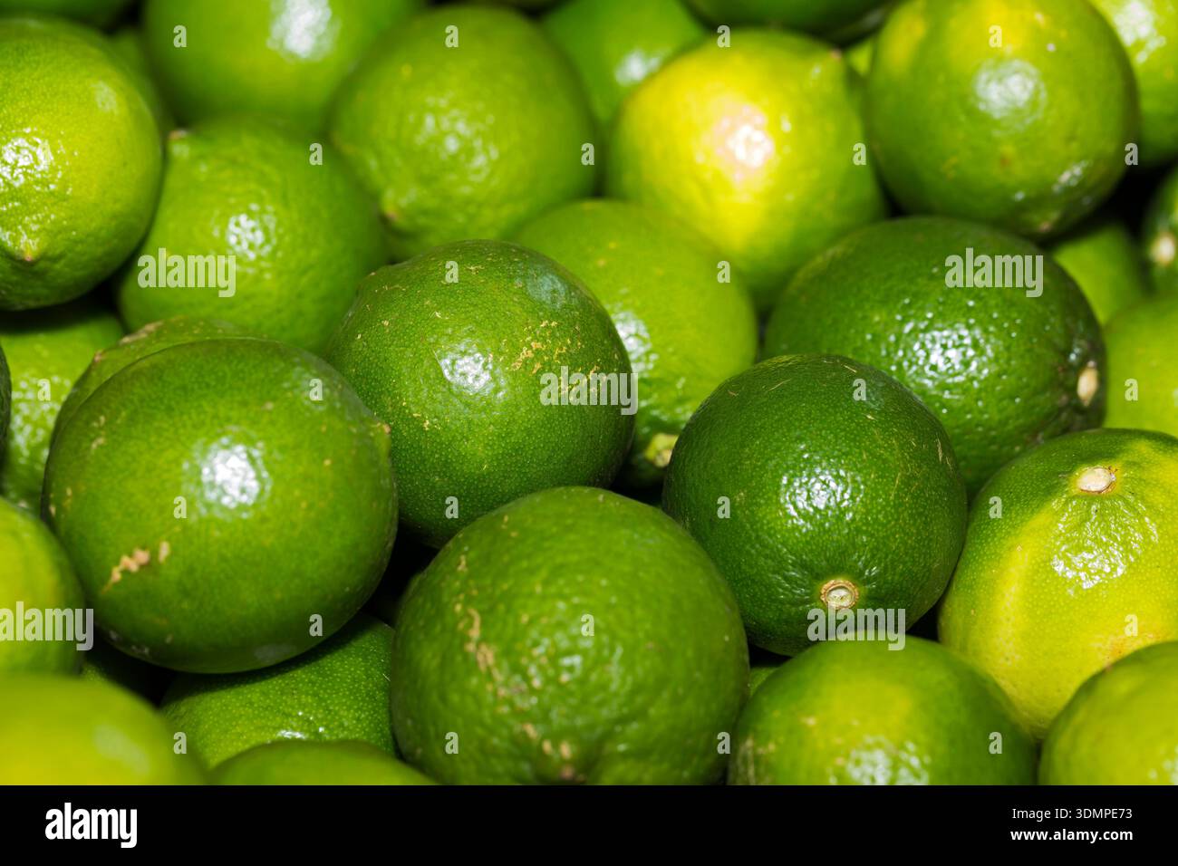 Lemon washing process hi-res stock photography and images - Alamy