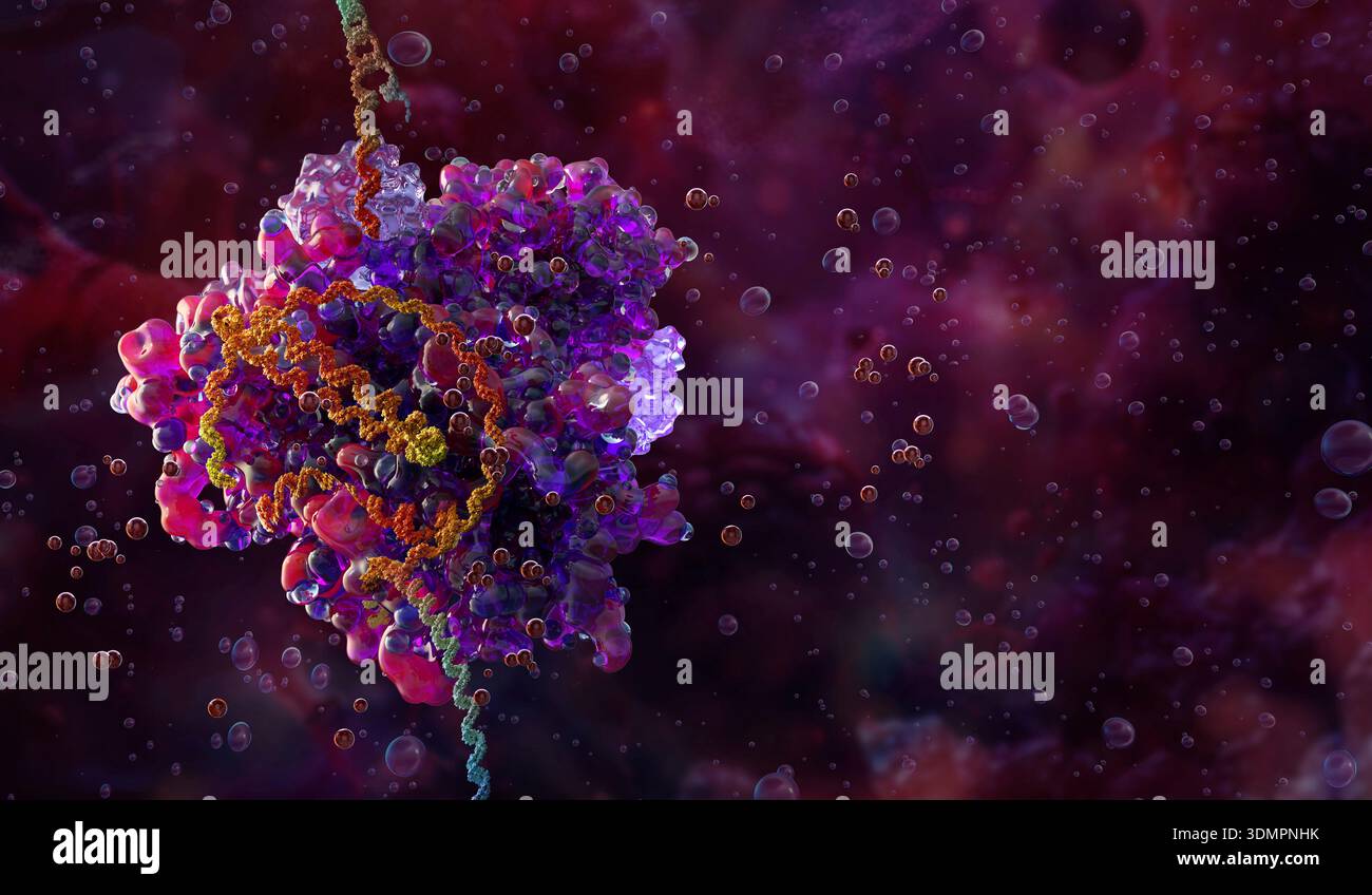 Crispr cas9 dna gene editing tool hi-res stock photography and images ...