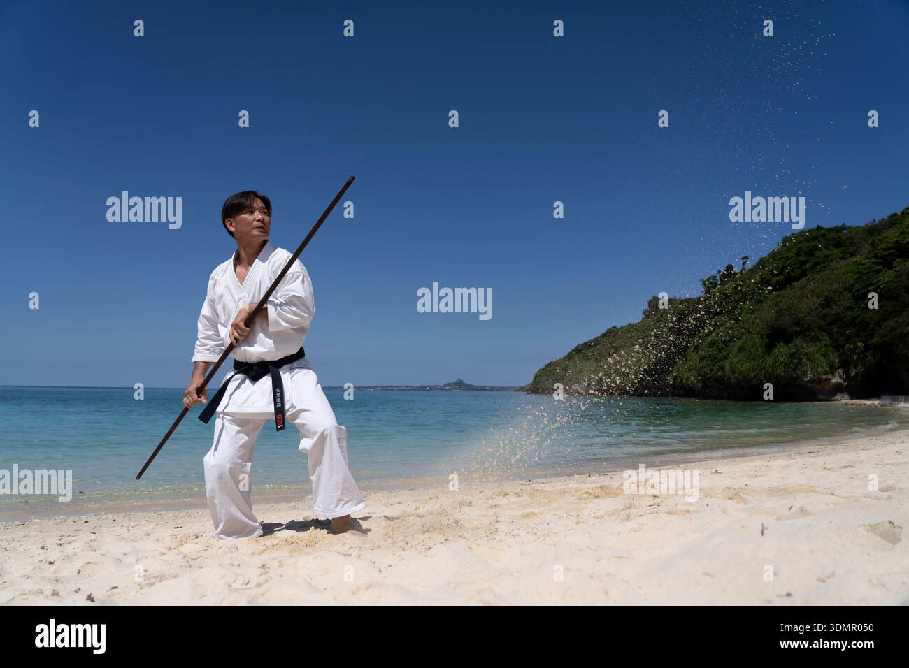 Tamashiro Toshihiko 5th Dan Shogenryu (Shorinryu) Karate. Studied ...