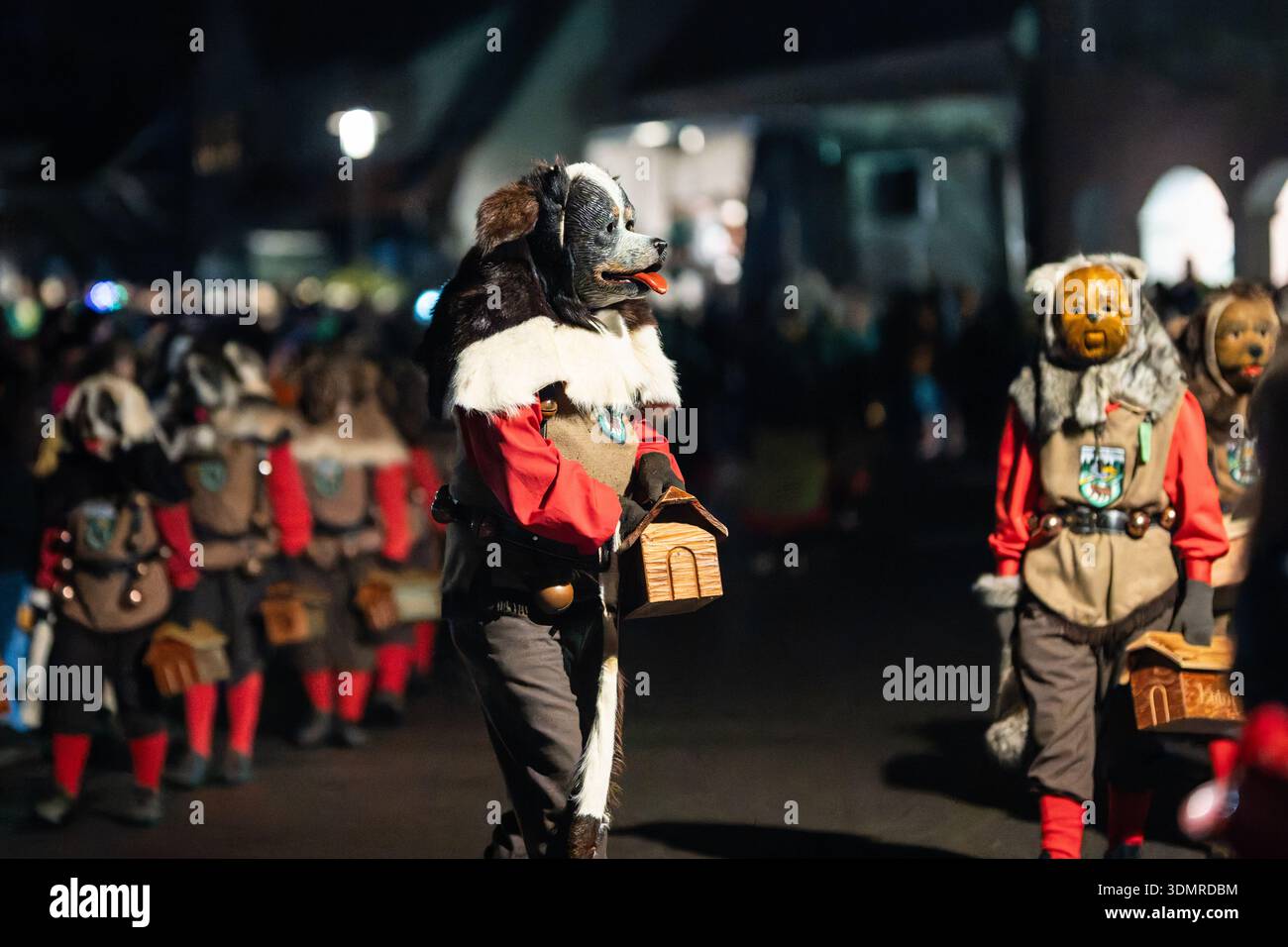 06 February 2026, Baden-Württemberg, Irslingen: The jesters of the ...
