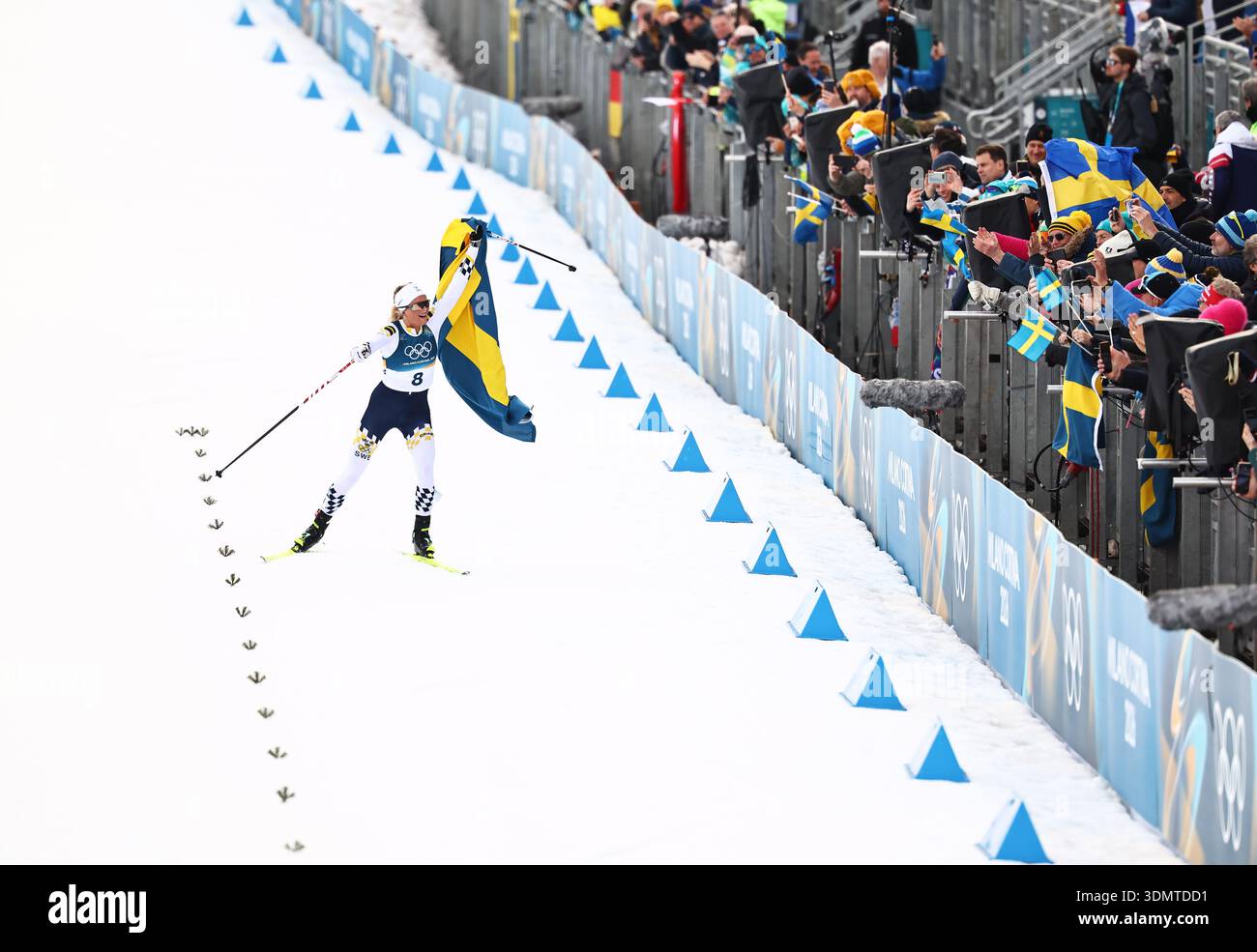 07 February 2026, Italy, Tesero: Olympia, Olympic Winter Games Milan ...