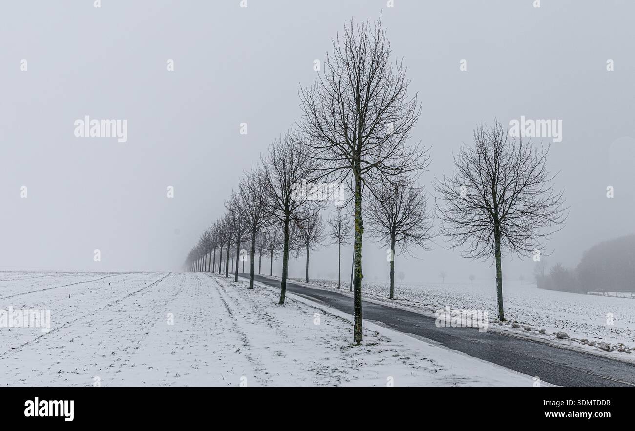 07 February 2026, Schleswig-Holstein, Scharbeutz: View of a road in a ...