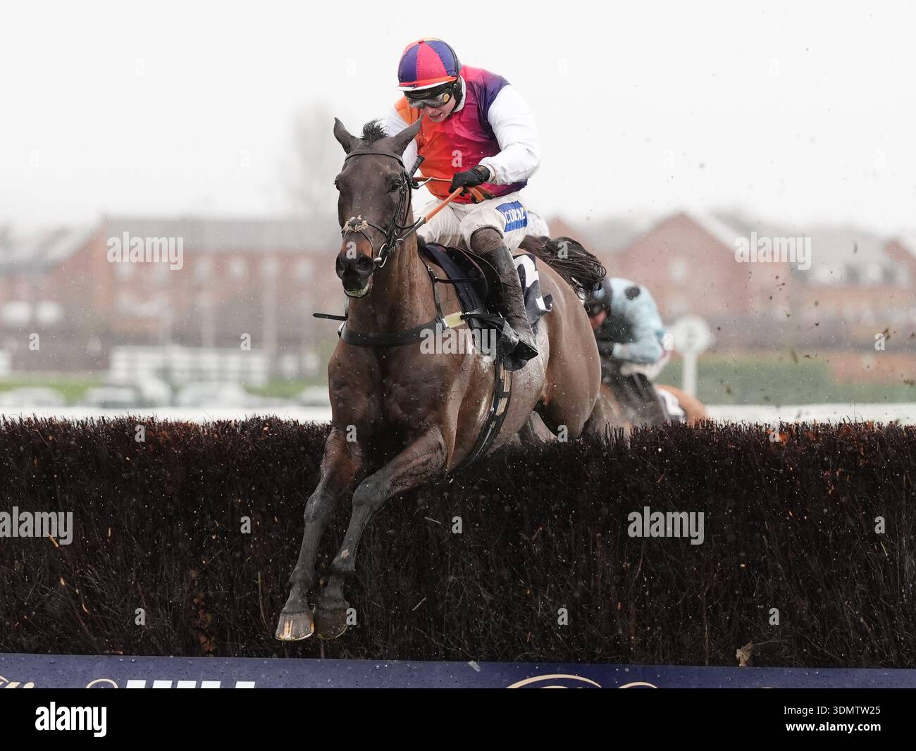 Haiti Couleurs ridden by Sean Bowen on their way to winning the William ...