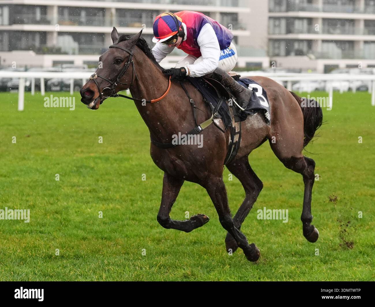 Haiti Couleurs ridden by Sean Bowen on their way to winning the William ...