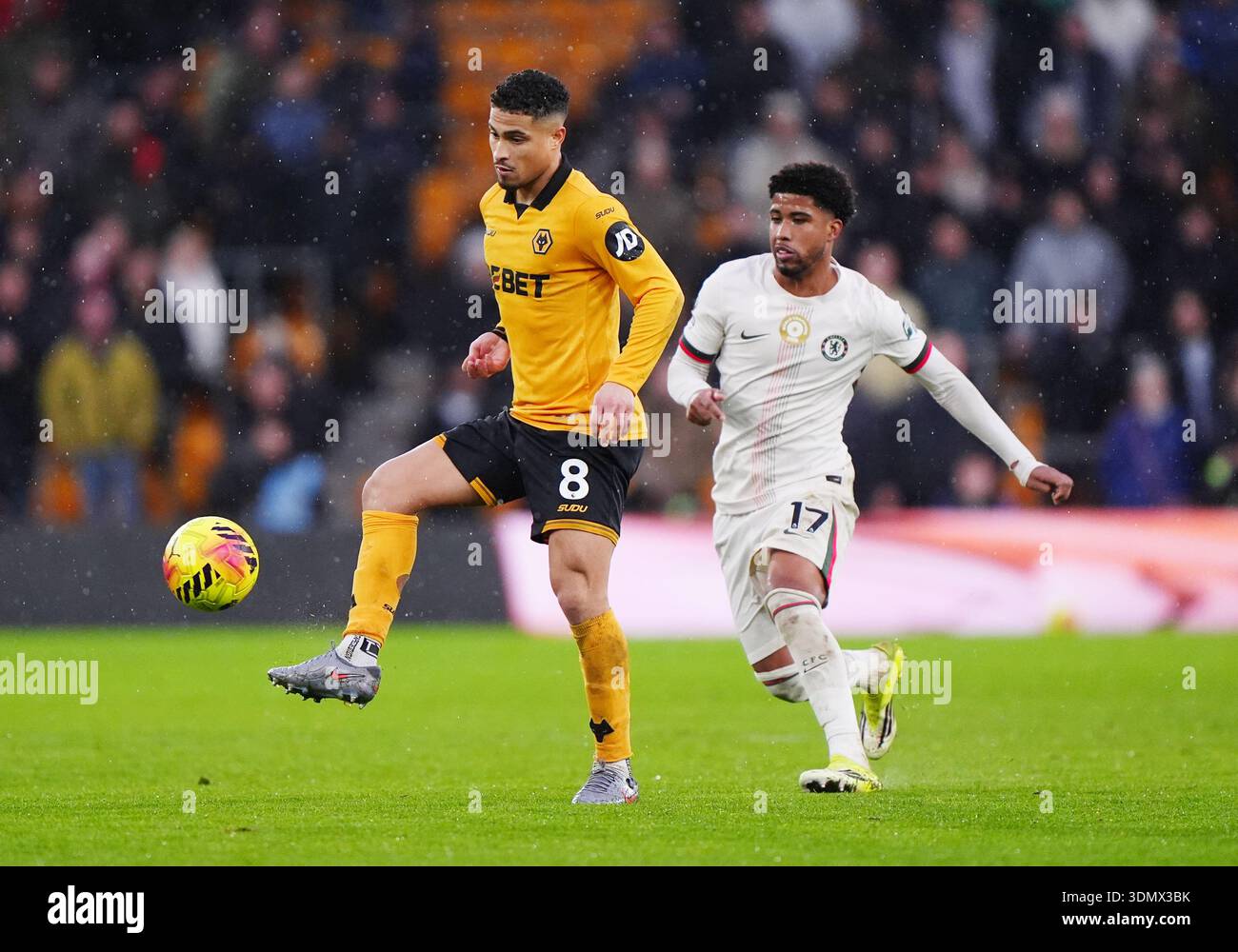 Wolverhampton Wanderers' Joao Gomes and Chelsea's Andrey Santos battle ...