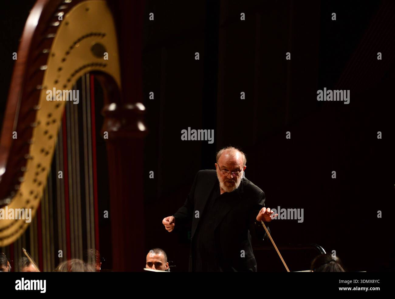 MUMBAI, INDIA - FEBRUARY 7: Martyn Brabbins, Chief Conductor of ...