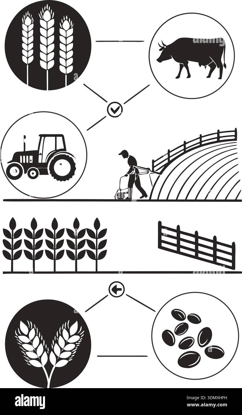 Farmer feeding cow grain Stock Vector Images - Alamy