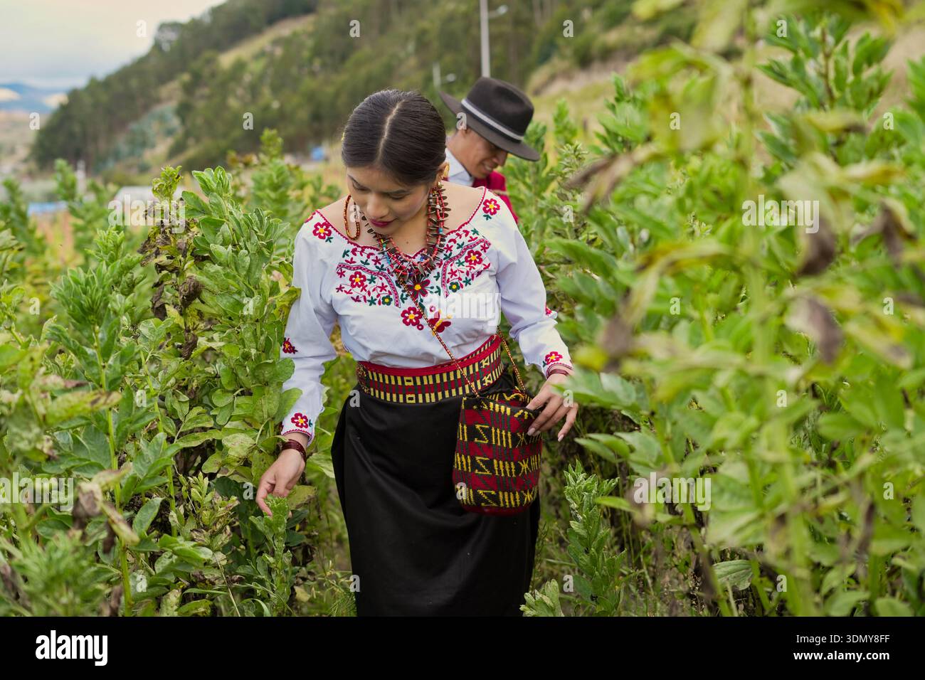 A Puruwa indigenous couple in traditional attire strolls through lush ...