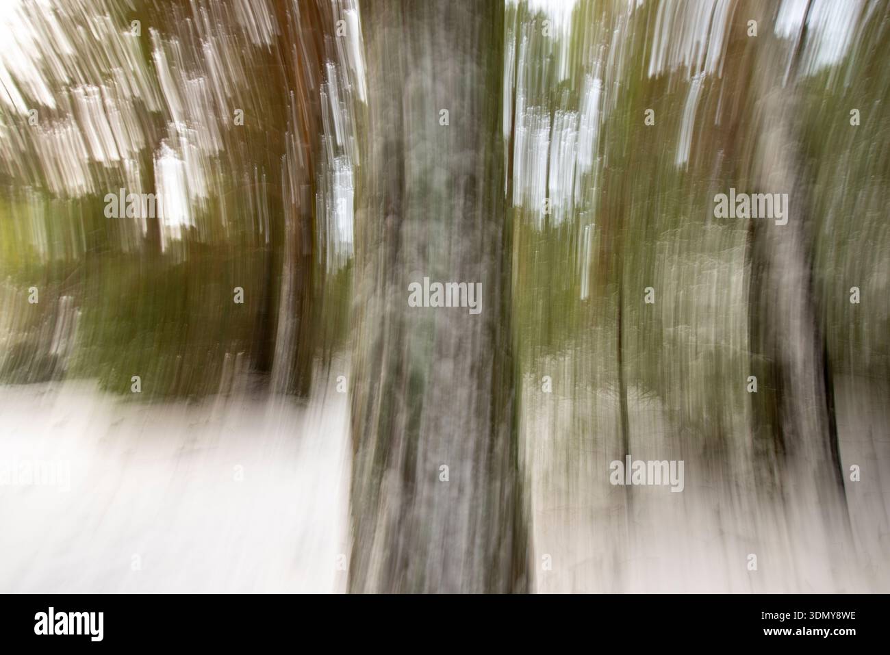 Photo captures beauty national hi-res stock photography and images - Alamy
