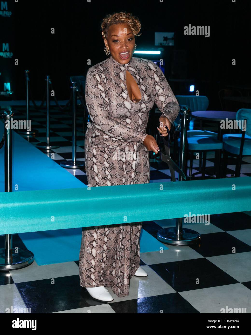 Marisha Wallace attends the Platinum 20: A New Era VIP Press Launch ...