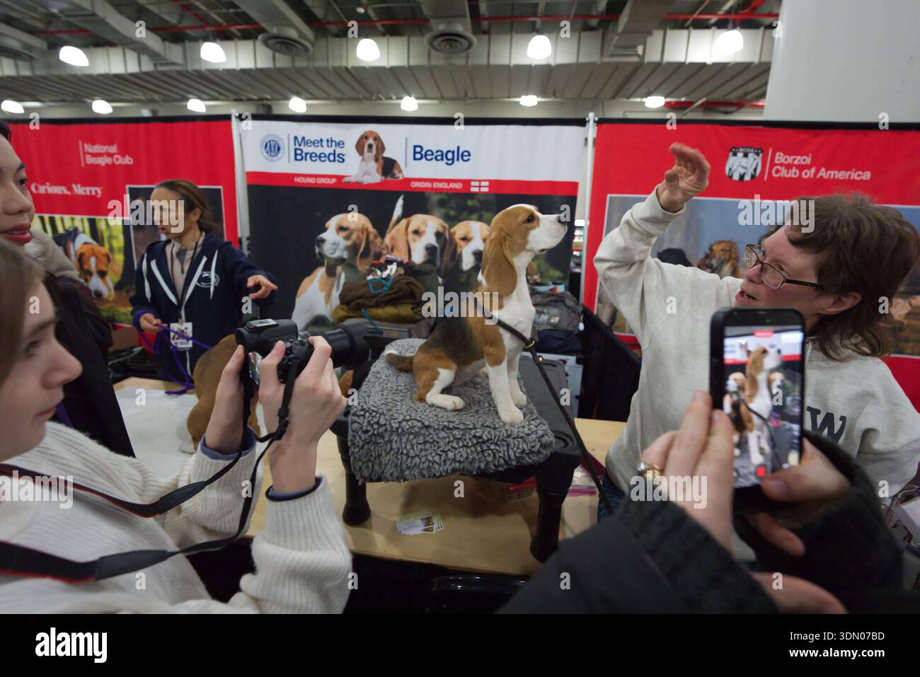 New York, New York - February 7, 2026: The American Kennel Club (AKC ...