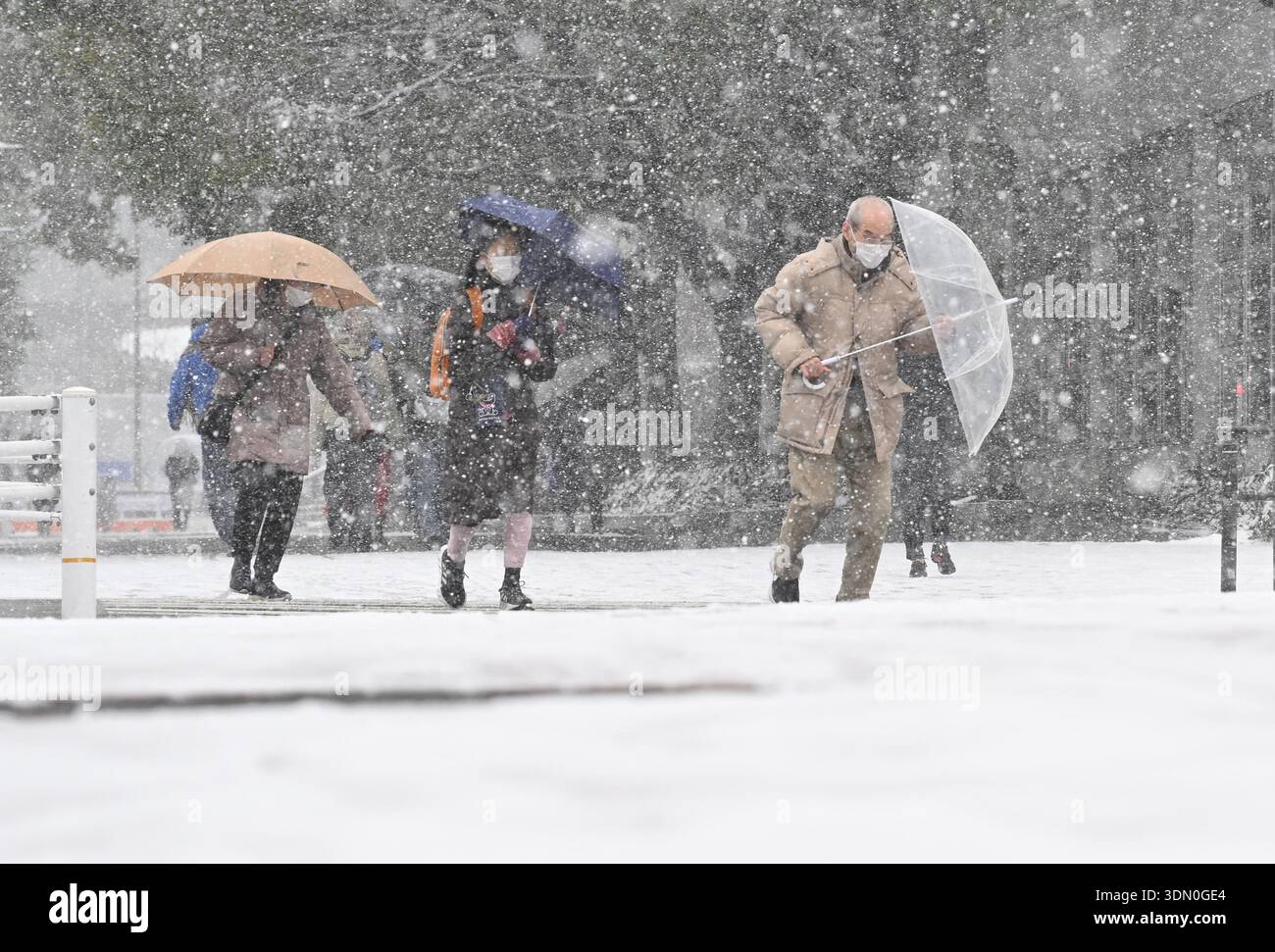 Snow falls on a street in Koto Ward, Tokyo on February 8, 2026. Strong ...