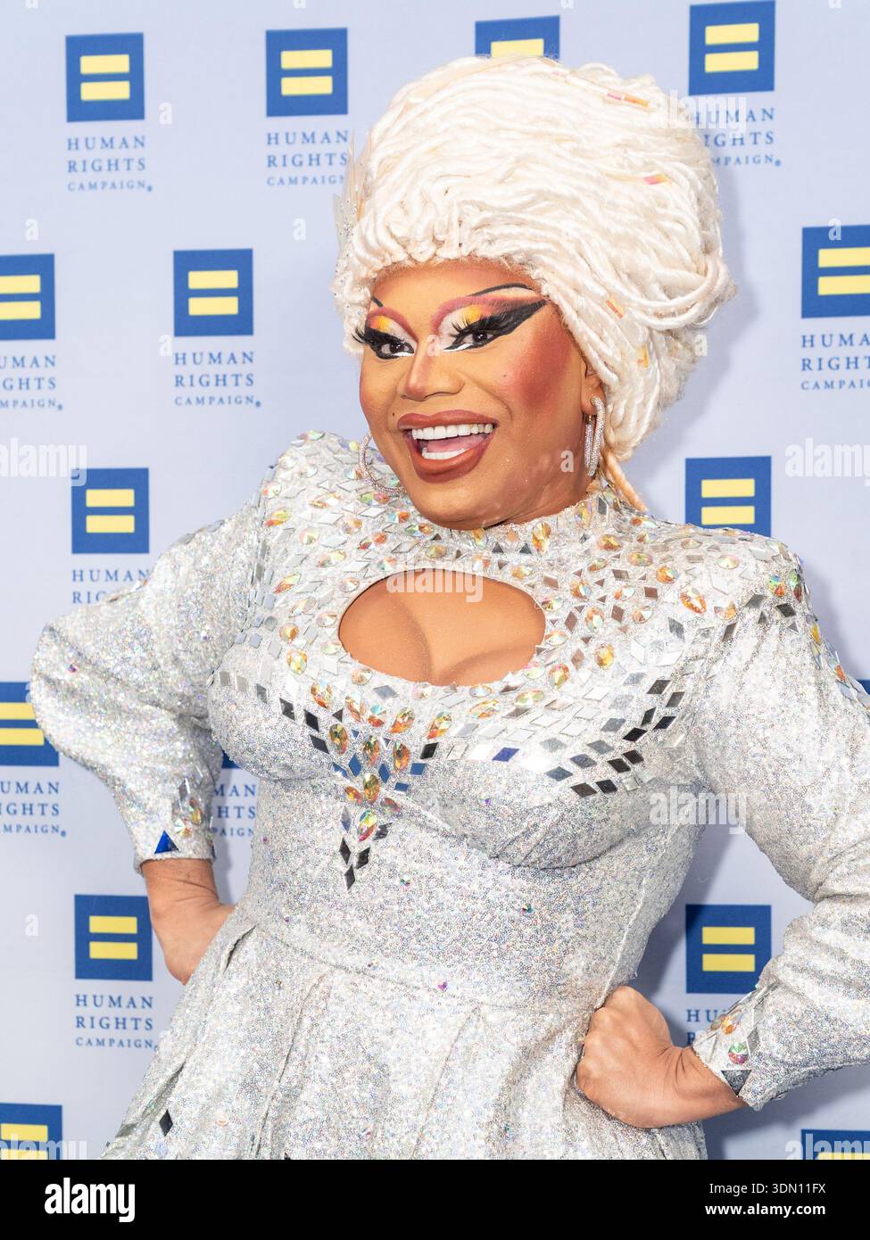 Brita Filter attends Human Rights Campaign 2026 Greater New York dinner ...