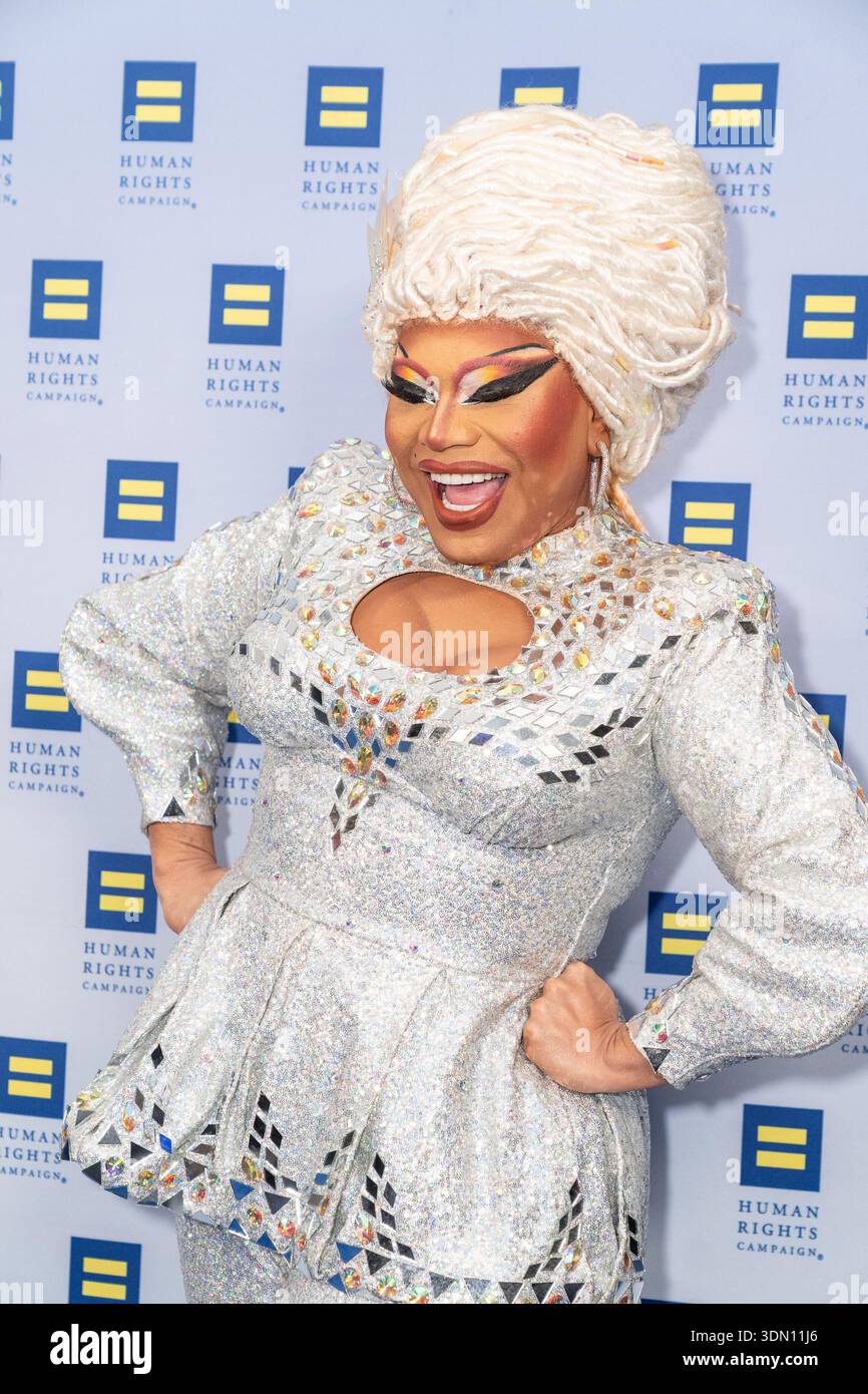 Brita Filter attends Human Rights Campaign 2026 Greater New York dinner ...