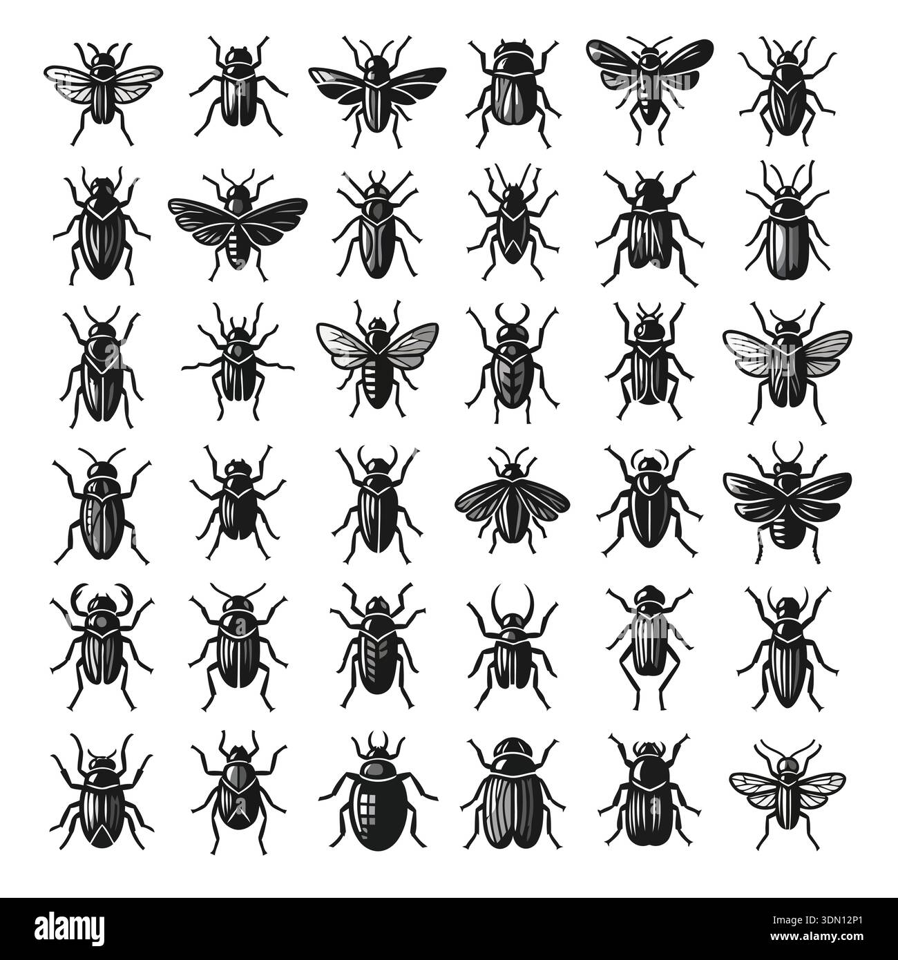 A detailed illustration of diverse beetle species, showcasing various ...