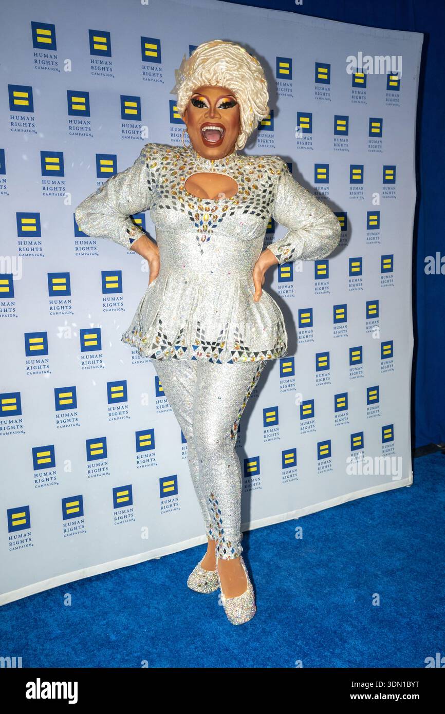 Brita Filter attends the Human Rights Campaign 2026 Greater New York ...