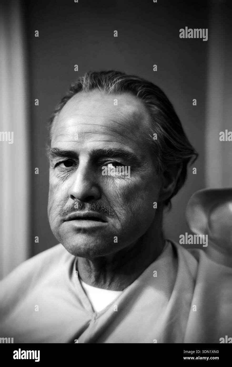 MARLON BRANDO in MARIO PUZO'S THE GODFATHER (1972) -Original title: THE ...