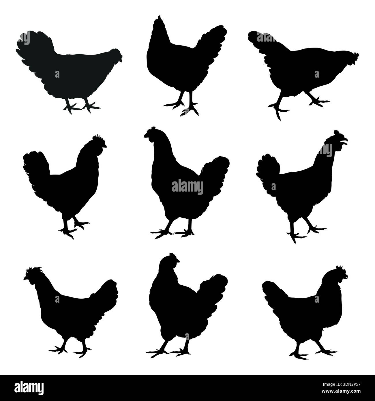 Hens beak Stock Vector Images - Alamy
