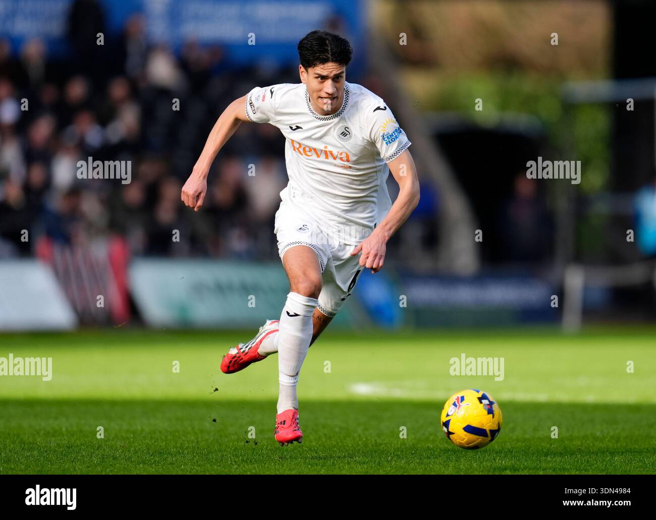 Swansea City's Marko Stamenic during the Sky Bet Championship match at ...