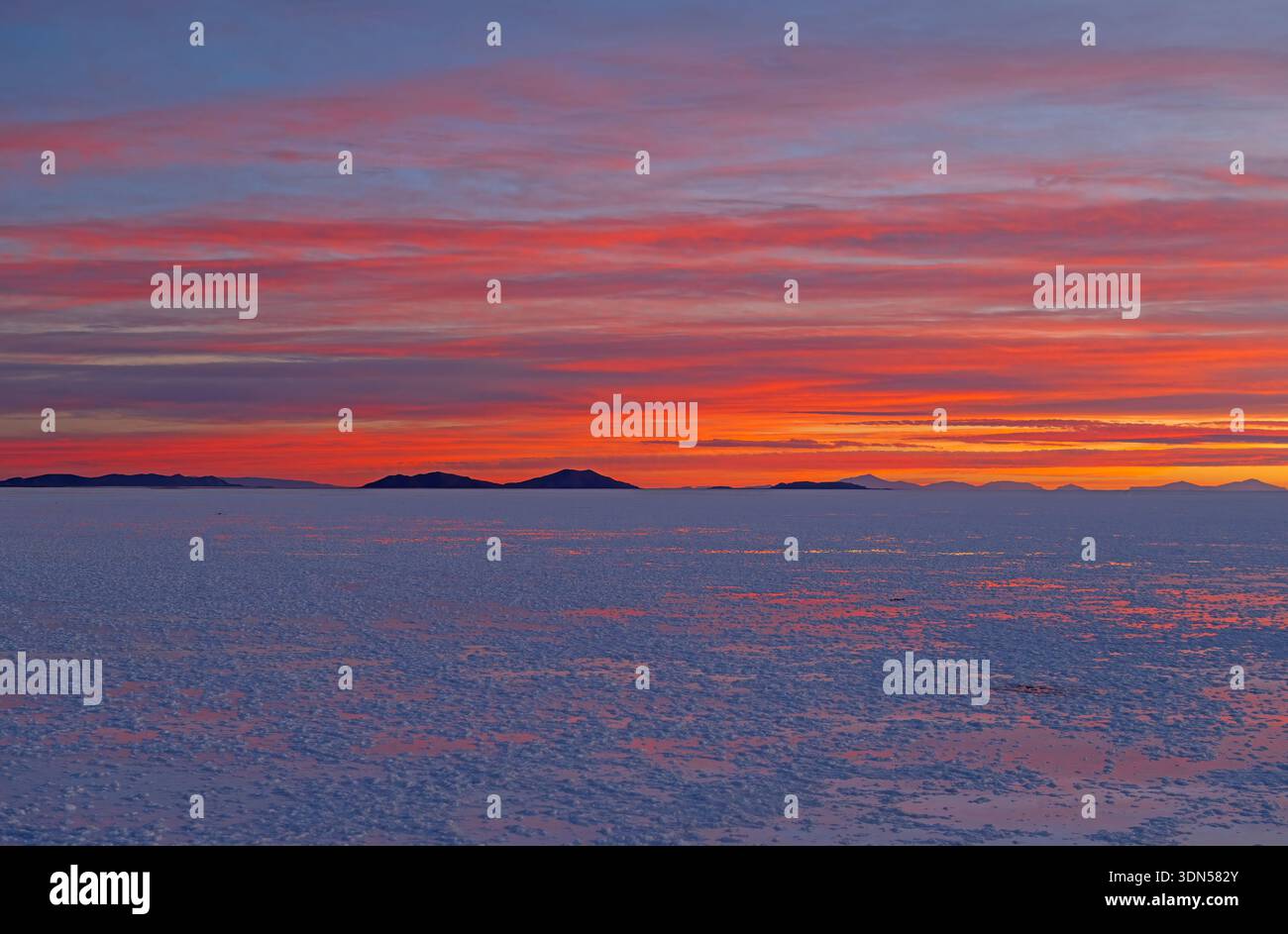 Pink Skies Reflecting Across the Salt Ponds at Sunset at Salar de Uyuni ...