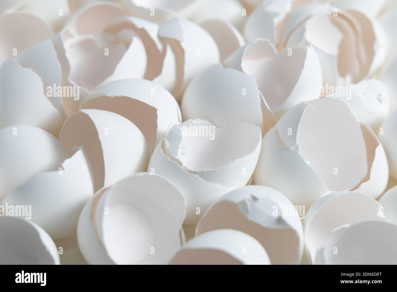 Eggshells are seen in various stages of breakage, creating a textured ...
