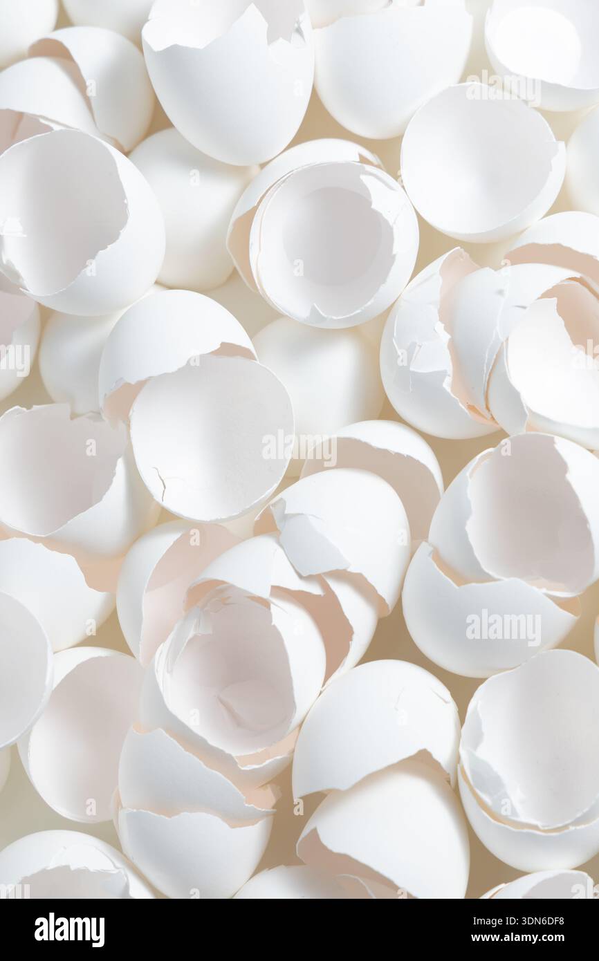 Many broken egg shells are seen on a flat surface. The white shells are ...