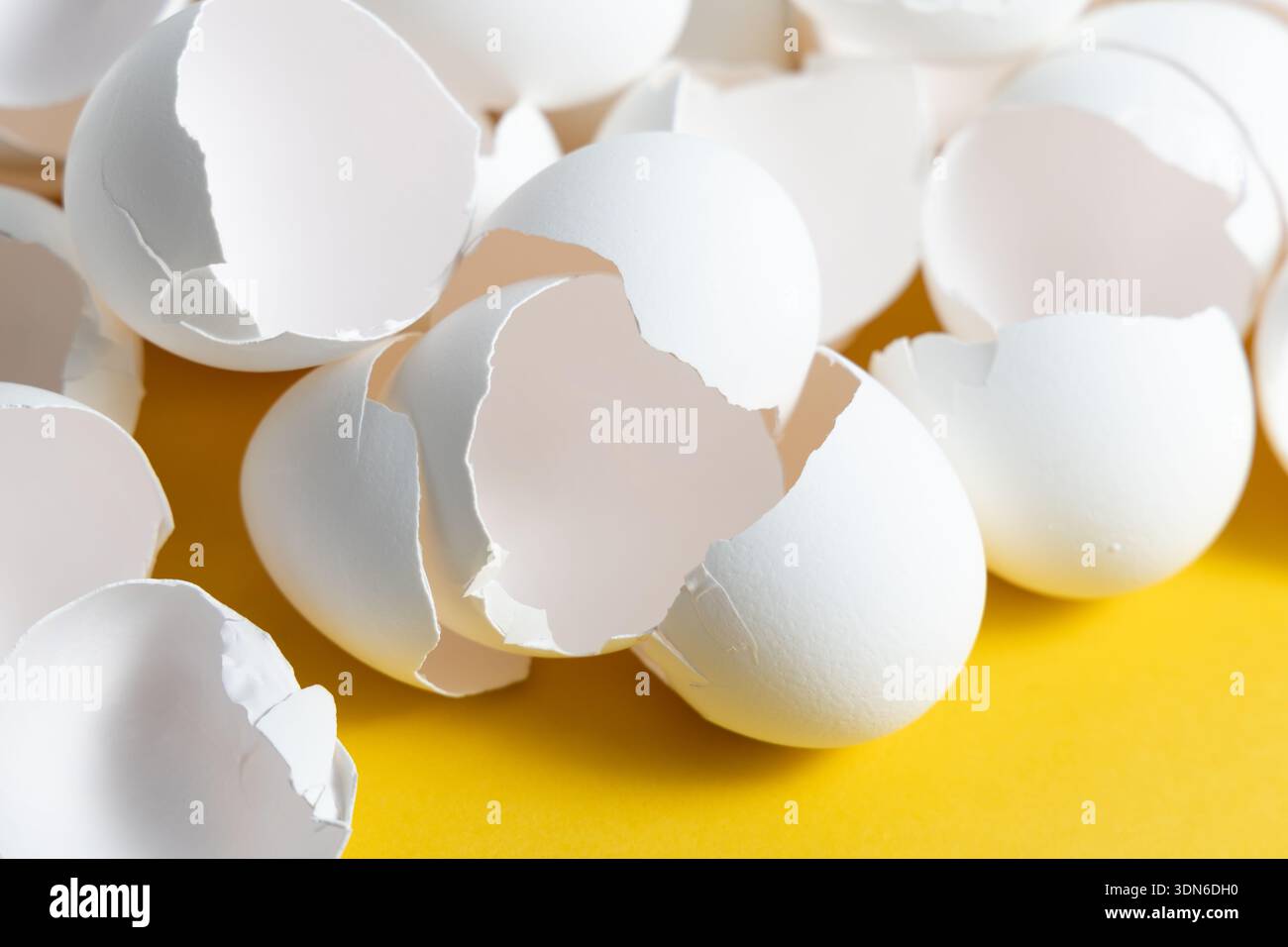 Several broken eggshells are spread across a bright yellow surface. The ...