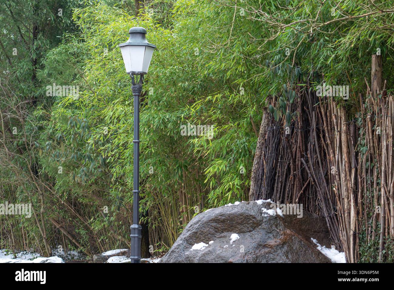 Stone lantern bamboo forest hi-res stock photography and images - Alamy