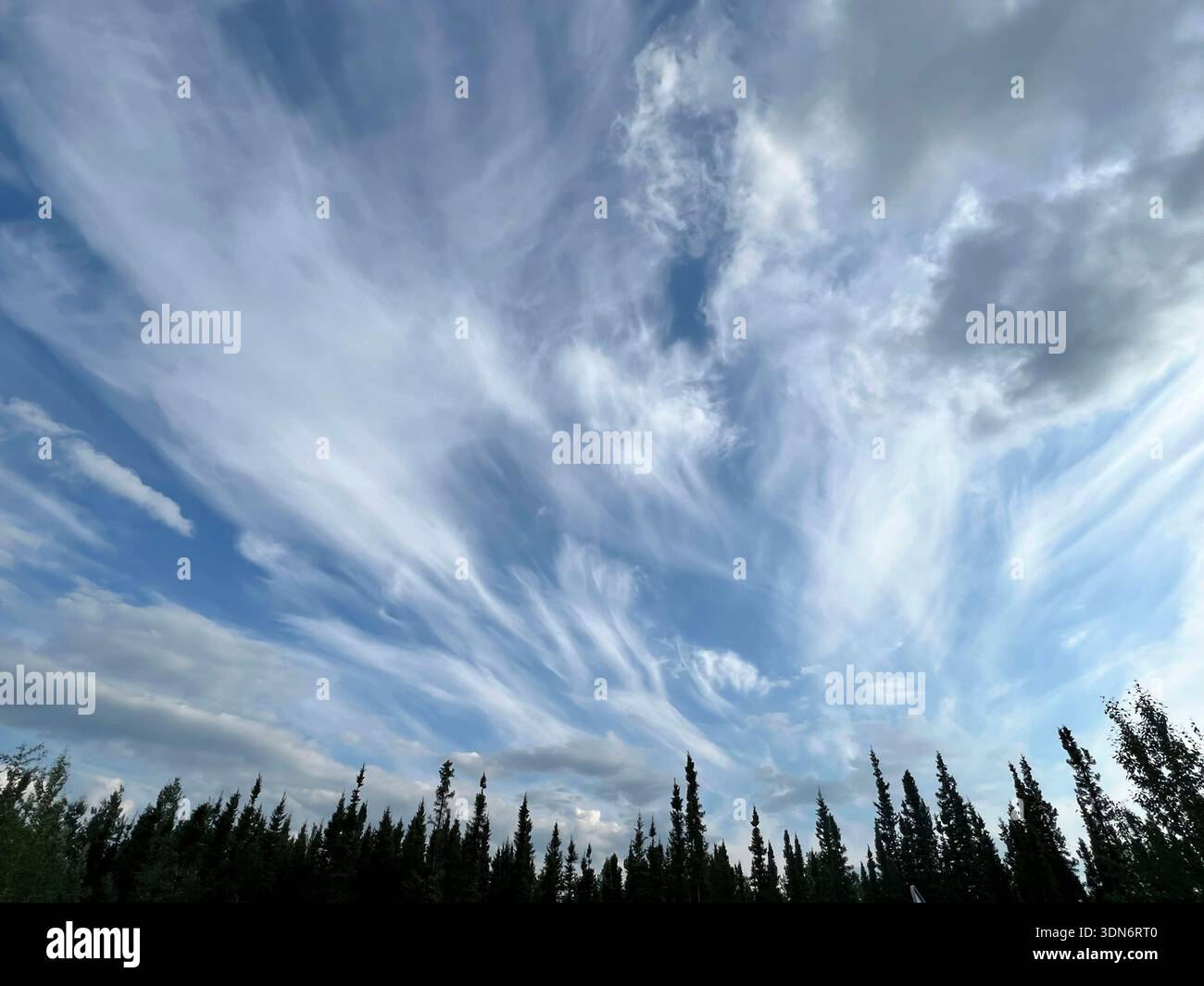 White clouds in a blue sky over trees on a summer day near Delta ...