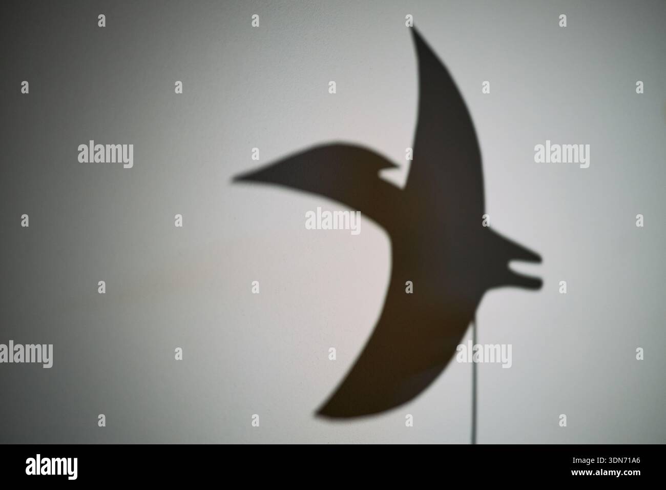 Distinct beak shape hi-res stock photography and images - Alamy
