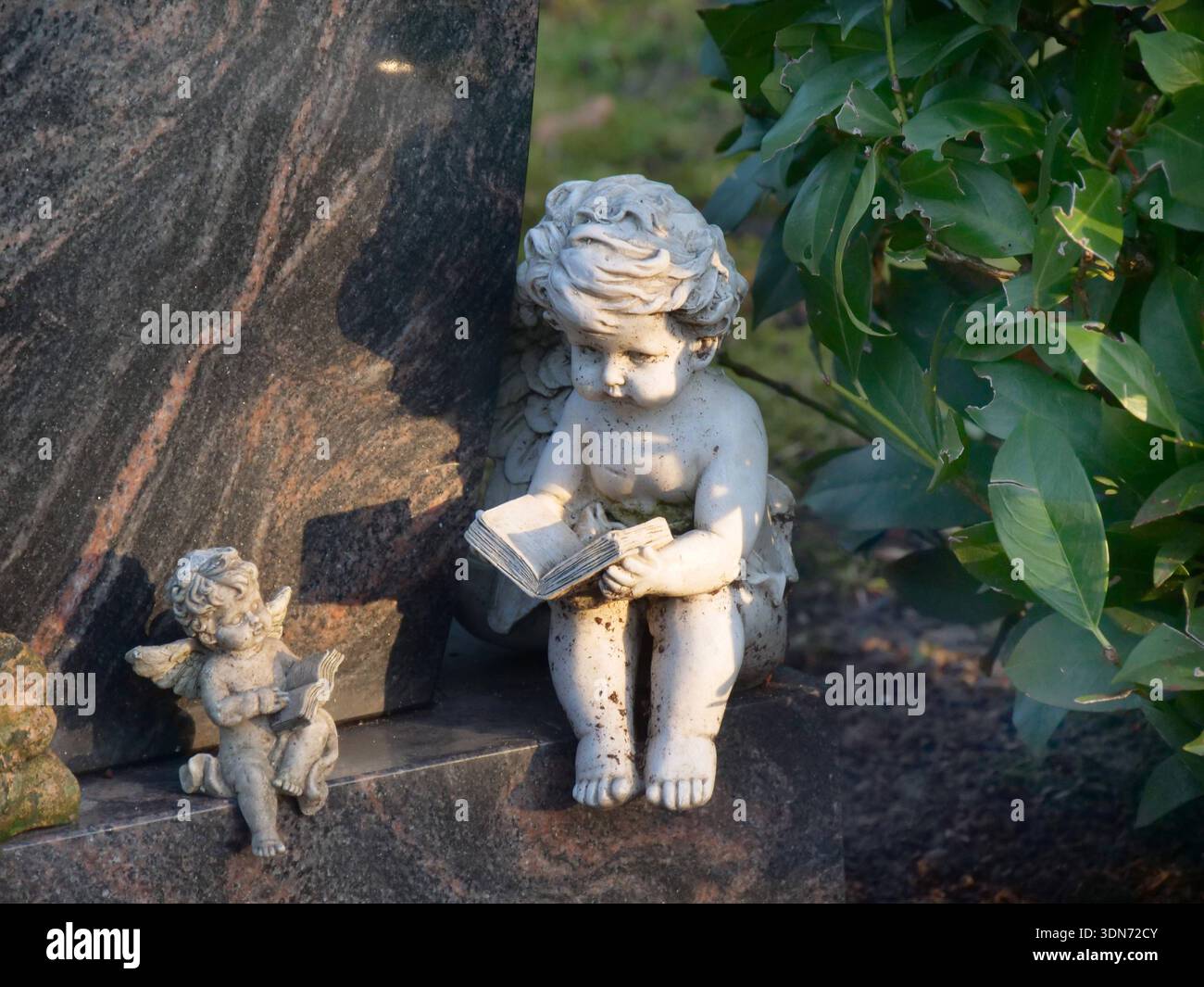 Trauer-Friedhofsfotos als Symbolfoto fuer Trauer und sterben. Trauer ...