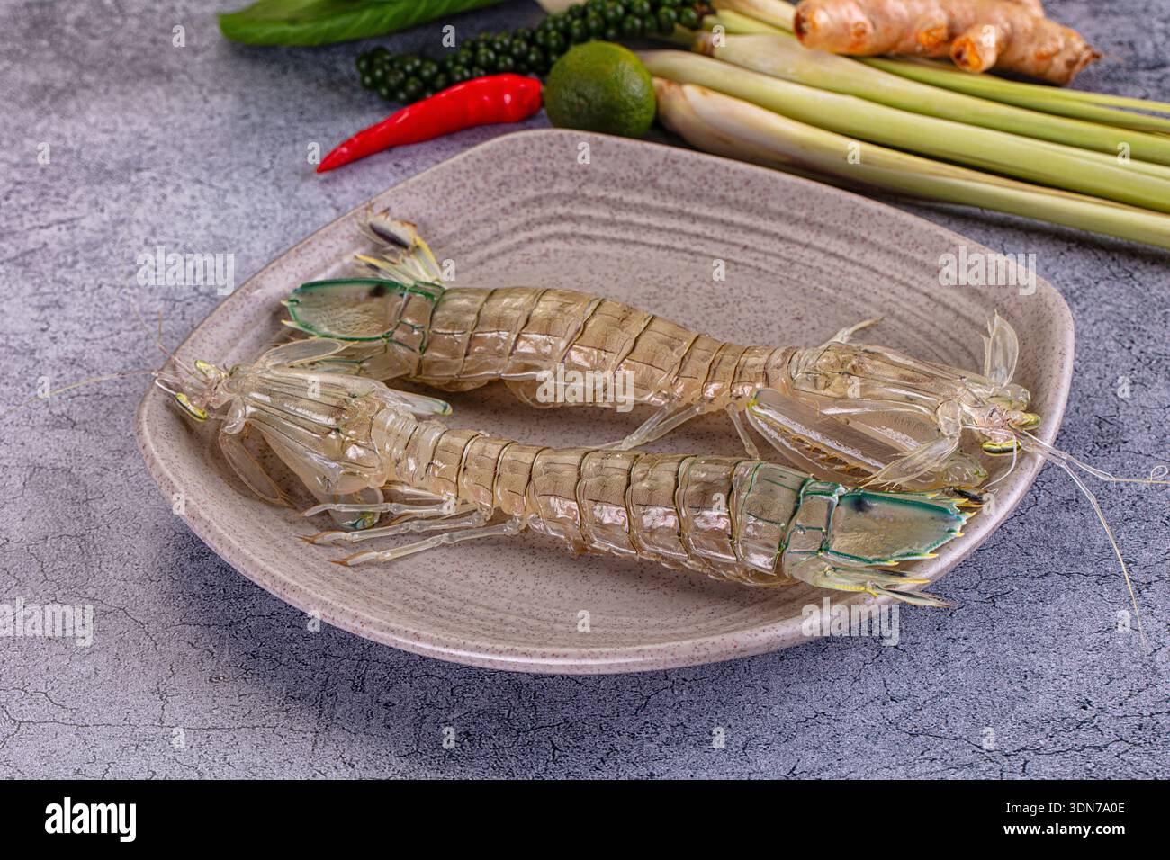 Raw wild mantis shrimps for cooking Stock Photo - Alamy