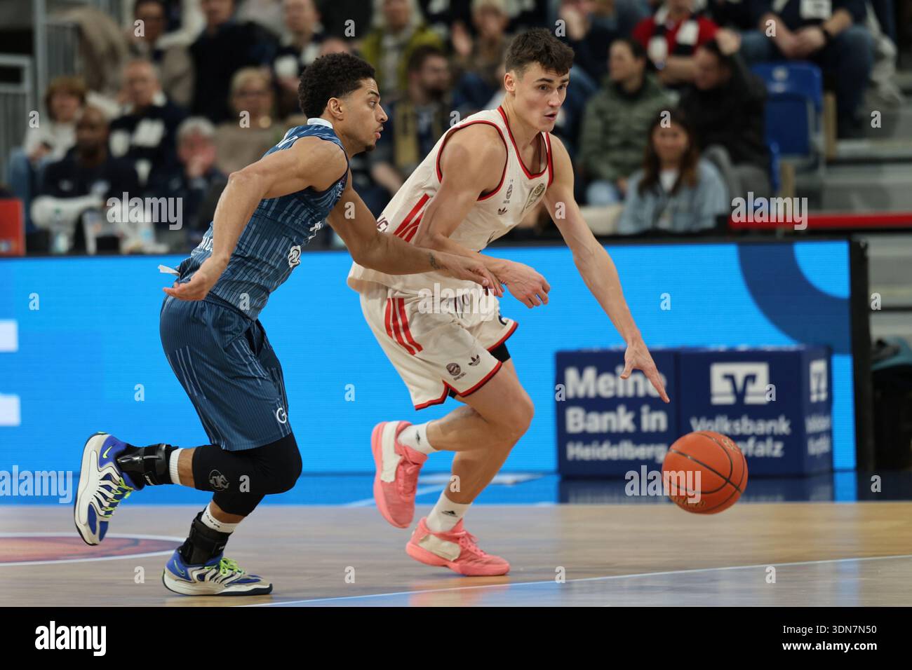 v.li.Kevin McClain (MLP Academics Heidelberg, #03), Xavier Rathan-Mayes ...