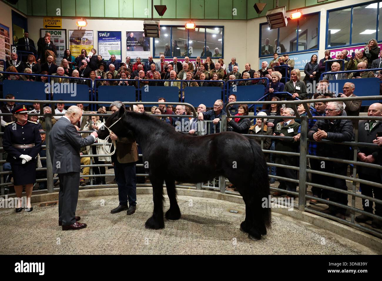 Britain's King Charles III meets Pearl, a Fell pony, at Clitheroe ...