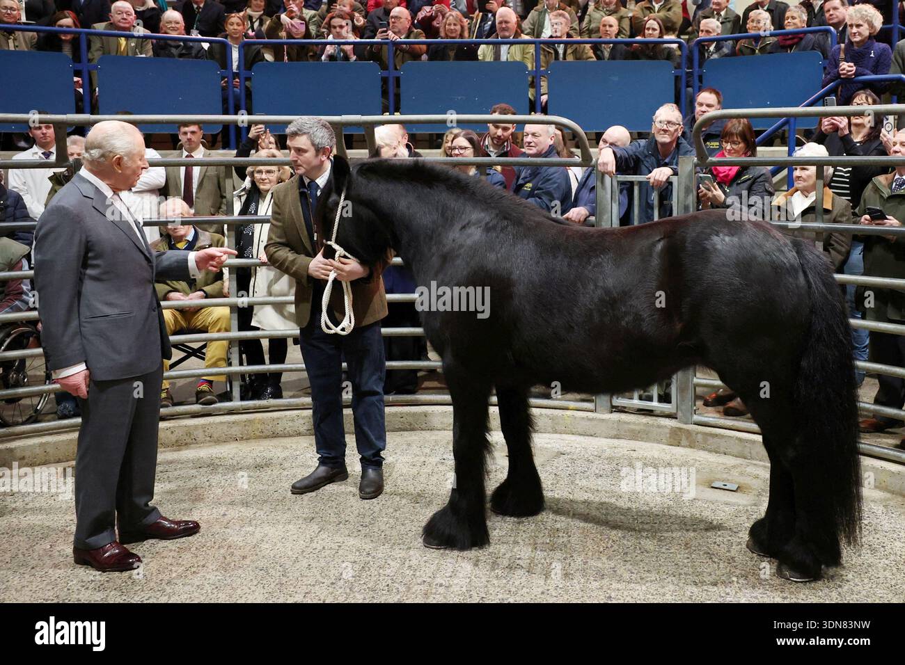 King Charles III views Pearl, the Fell pony during his visit to ...
