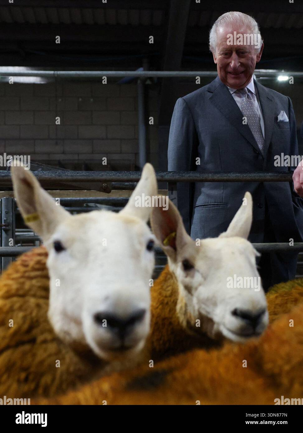 Britain's King Charles III visits Clitheroe Auction Mart, in Clitheroe ...