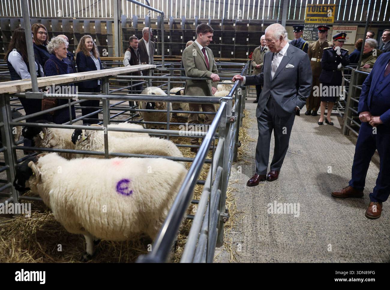 King Charles III meets farmers on a tour of the livestock pens during ...