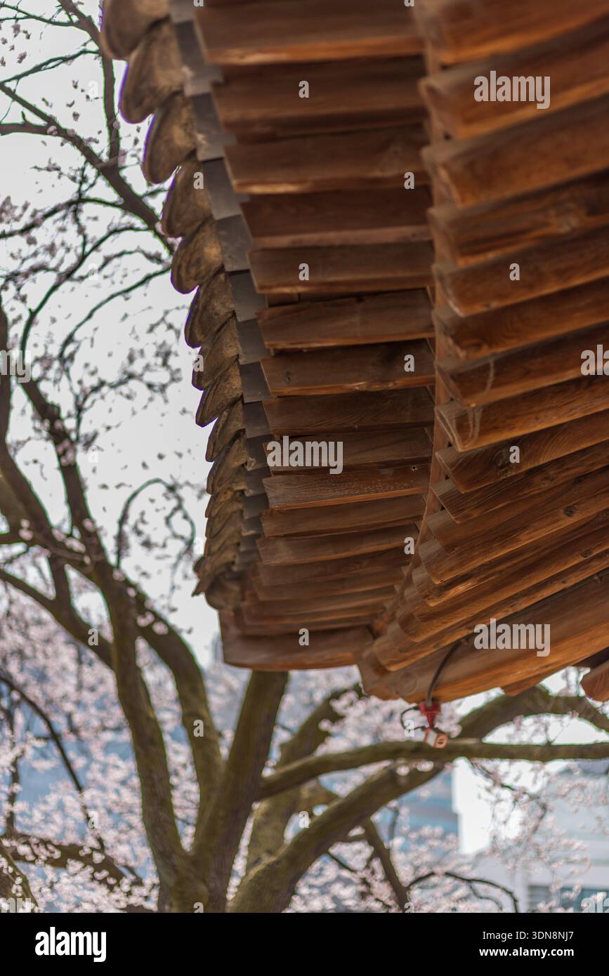 Close-up view of traditional wooden roof eaves with layered shingles ...