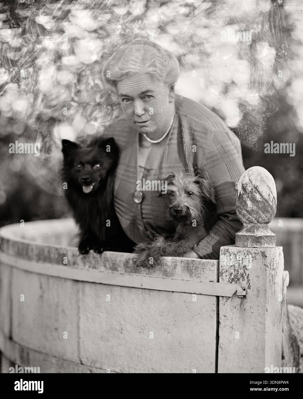Dame Eadith Campbell Walker with her dogs, Australian heiress and ...