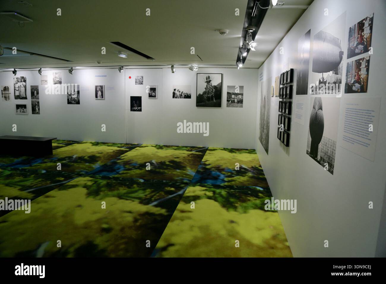 Exhibition designed by David Teboul at the Shoah Memorial, running from ...