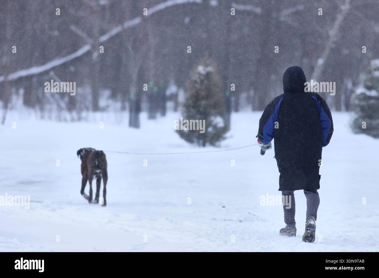 Montreal, Canada. 07th Feb, 2026. A person walks through the streets ...