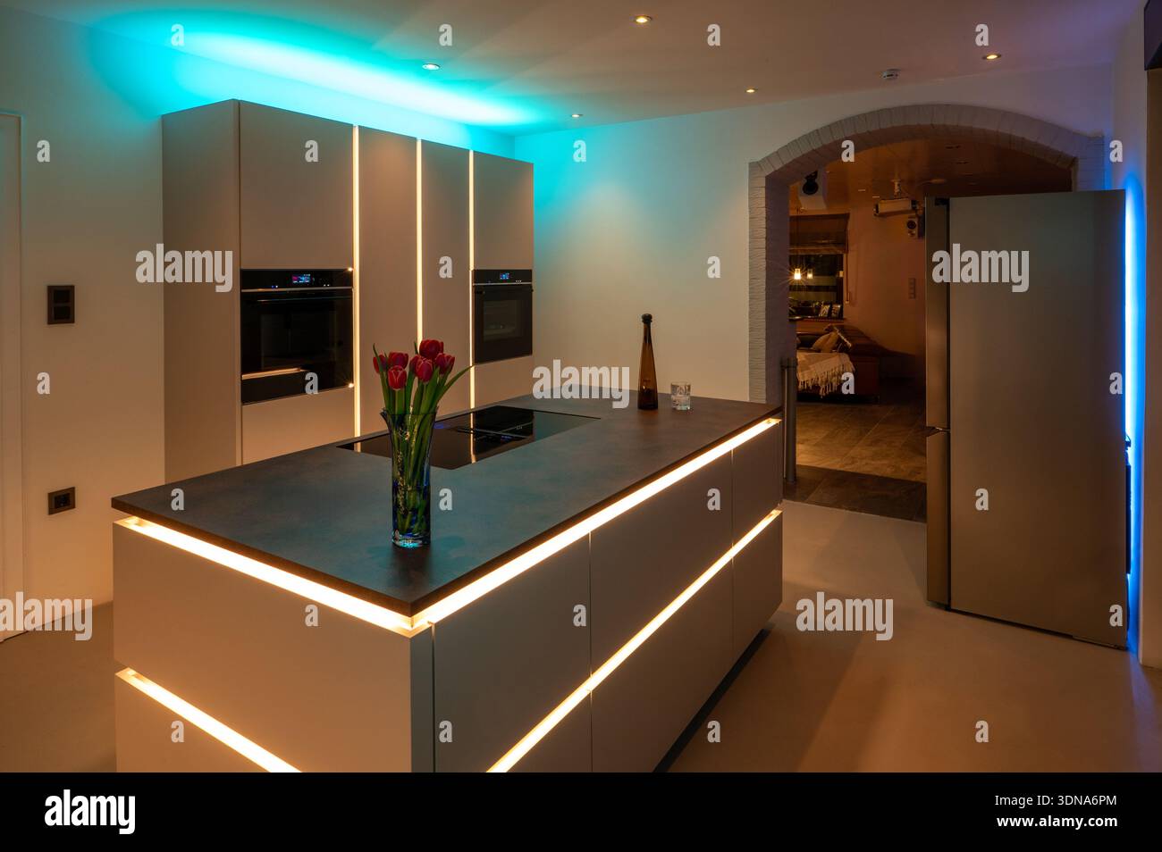 Side by side refrigerator and seamless flooring with modern led ambient ...