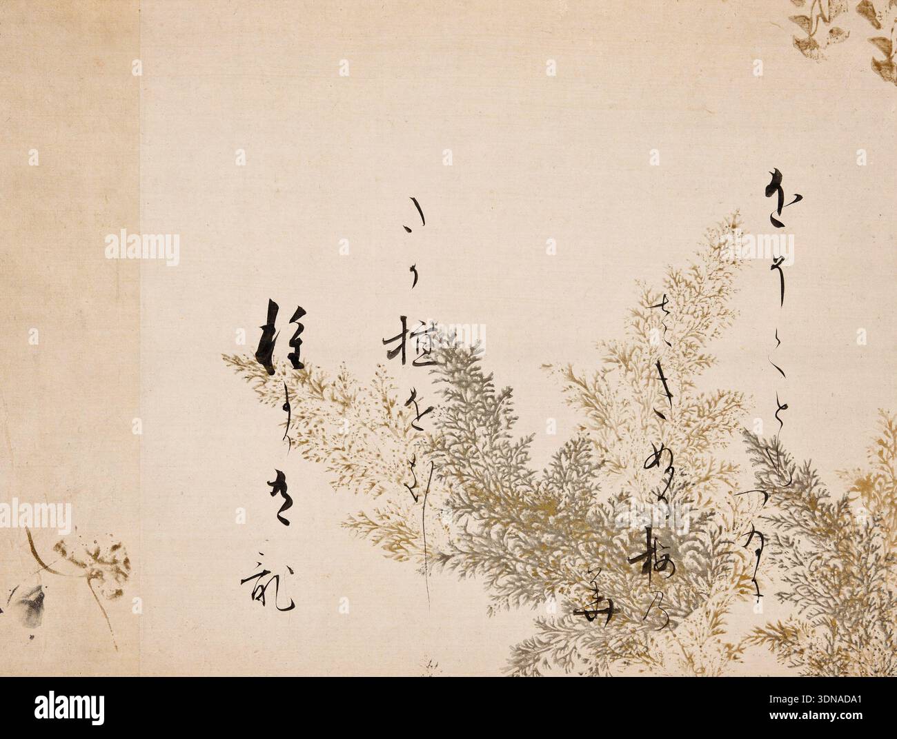 A poem from the Shin Kokinshu with a design of Shinobugusa (Moss Fern ...