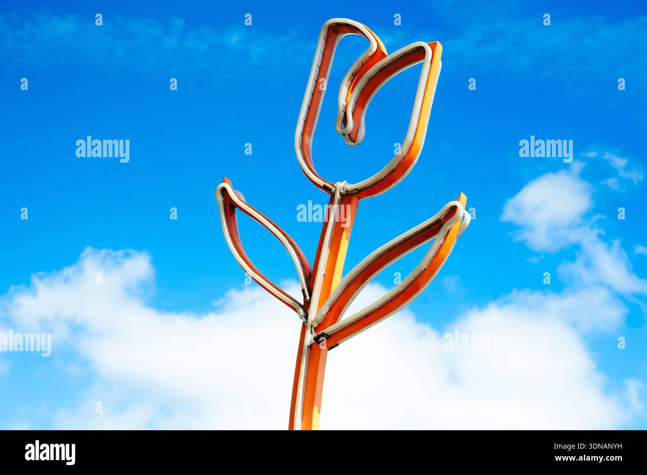 An orange neon tulip sign stands against a bright blue sky with white ...