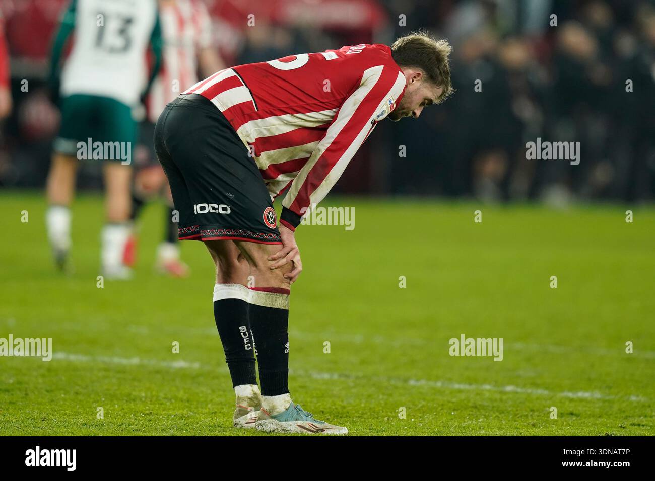 Sheffield, UK. 9th Feb, 2026. Patrick Bamford of Sheffield United looks ...