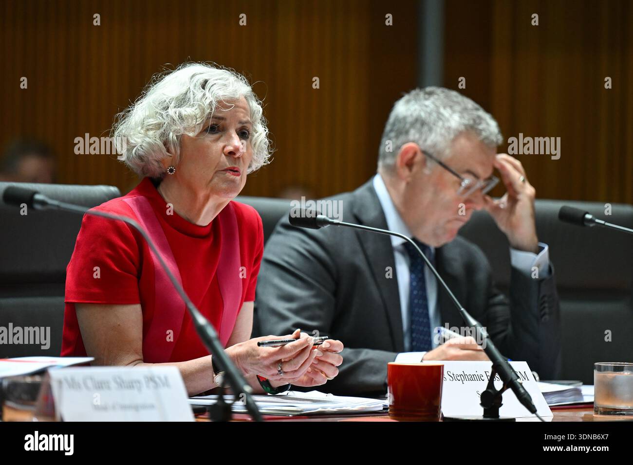 Secretary of the Deparment of Home Affairs Stephanie Foster speaks ...