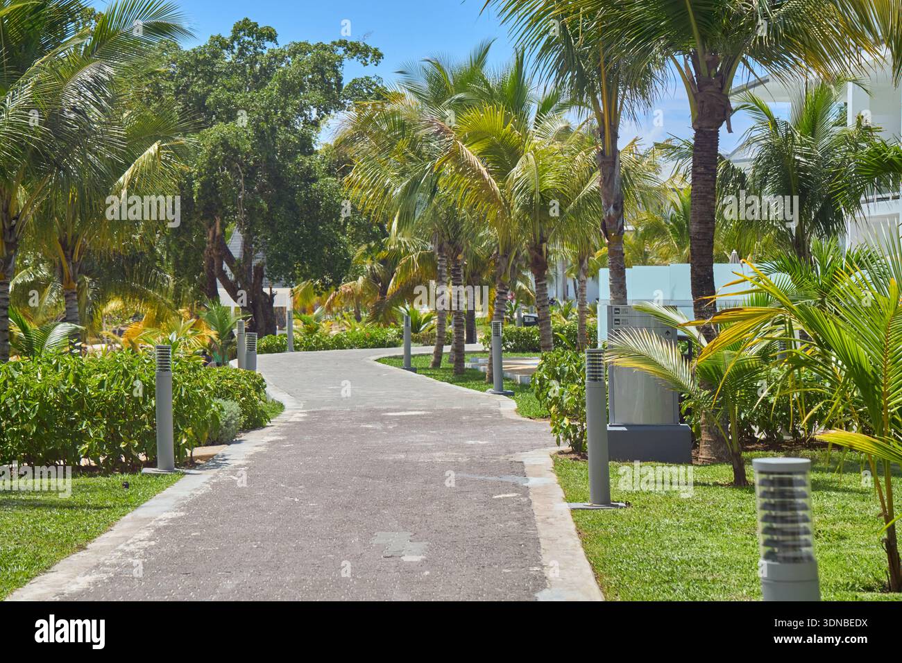 Walkway through the courtyard palm trees Stock Photo - Alamy